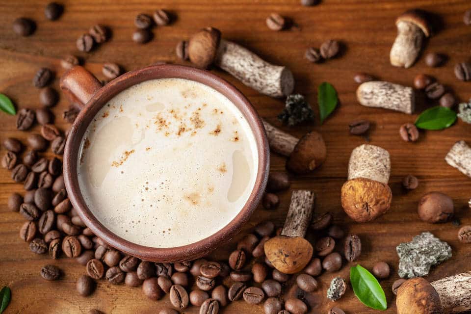 The Beginner’s Guide to Mushroom Coffee [A Fungus Among Us] | ChatterSource