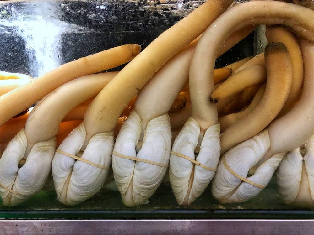 Weirdest Food From Every State [United by Strangeness] | ChatterSource