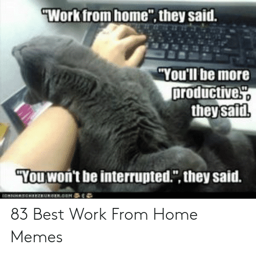 The 35 Best Work From Home Memes [Laugh Because It's True]