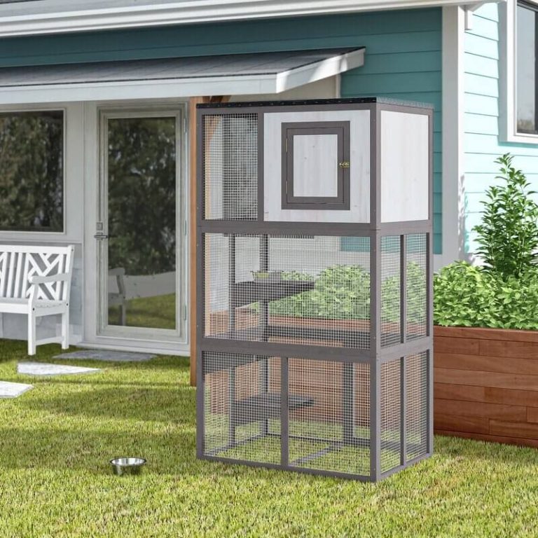 The 12 Best Outdoor Cat Enclosures That Can Be Bought Online