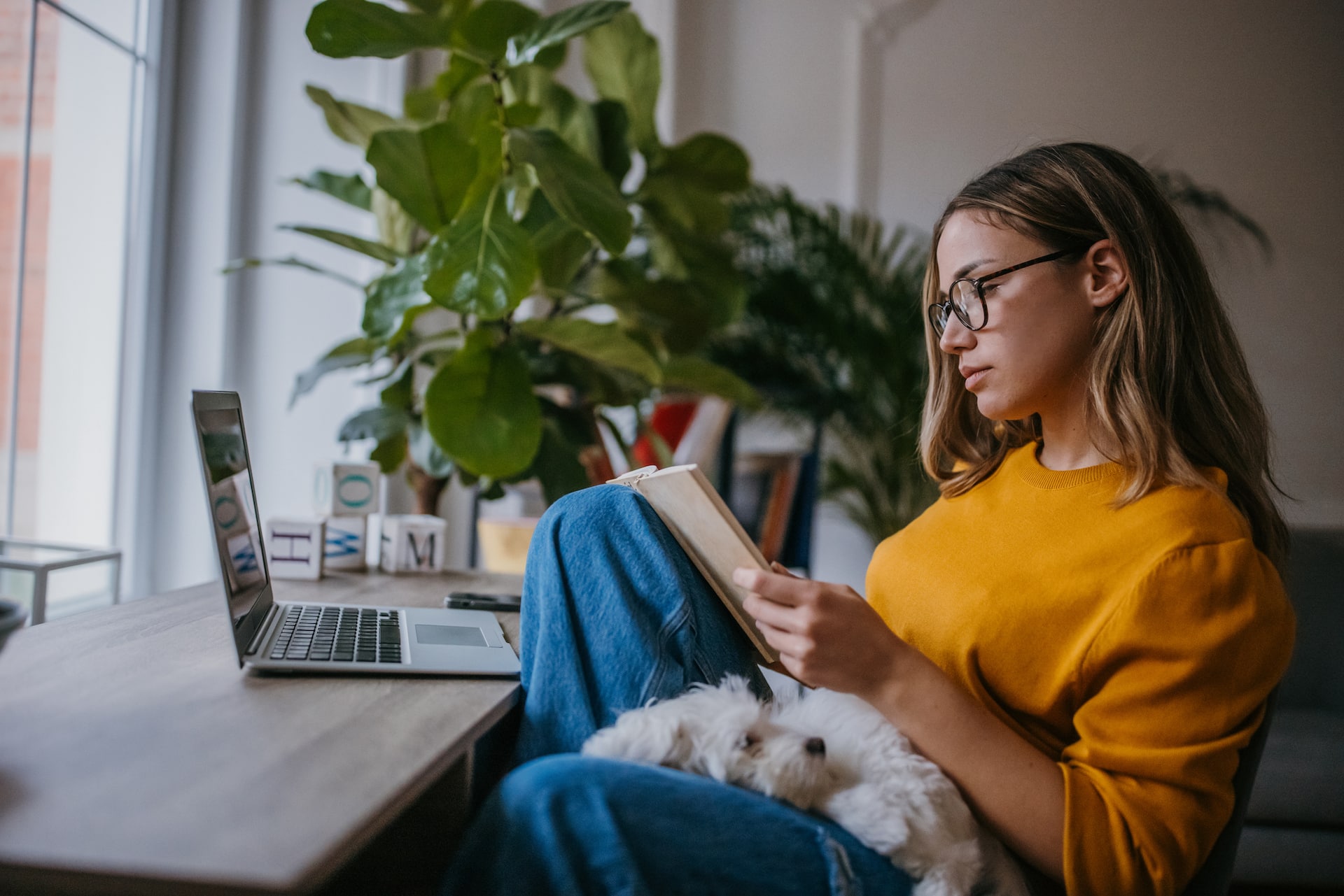 What Is BookTok (And 12 Great Book Recommendations For 2023 ...