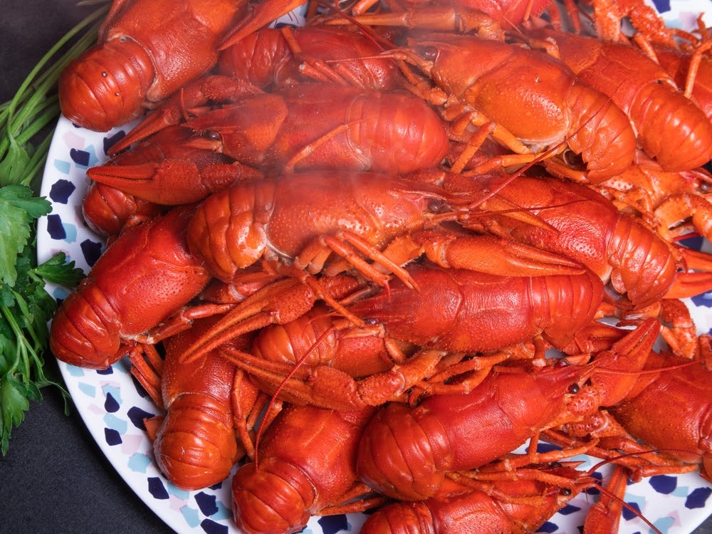 How To Eat Crawfish [Plus A Step By Step Crawfish Boil Guide ...