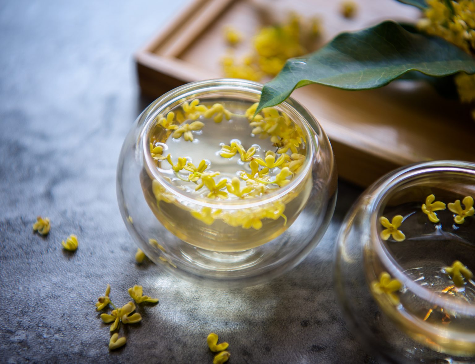 Learn What Osmanthus Is and Its 5 Benefits | ChatterSource